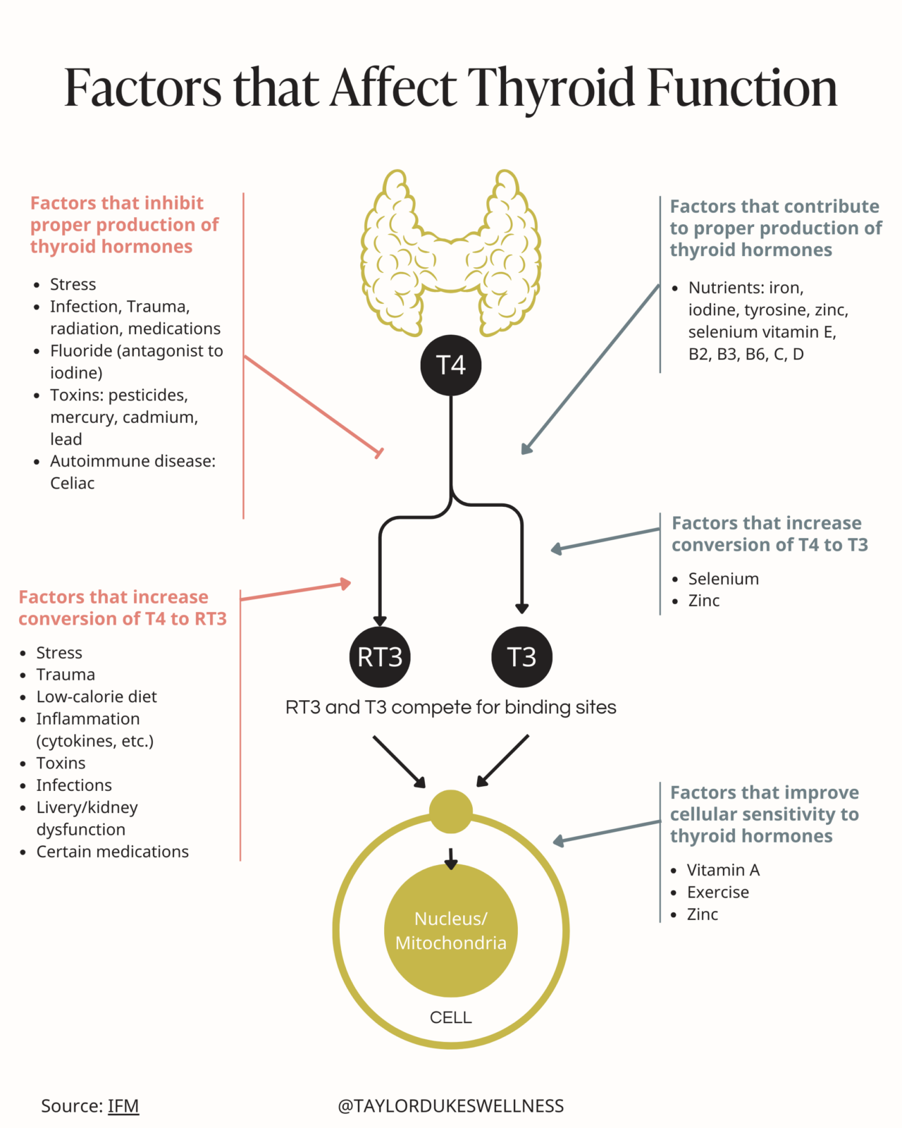 Could You Have a Thyroid Disorder? What You Need to Know - Taylor Dukes ...