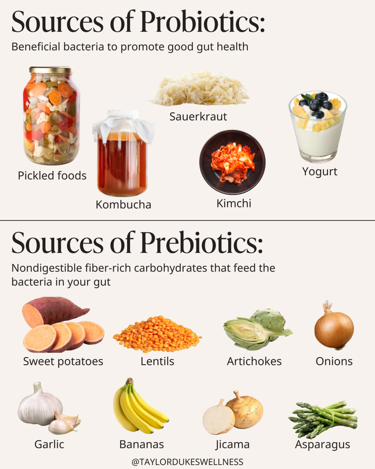 How to Heal the Gut After Antibiotics - Taylor Dukes Wellness