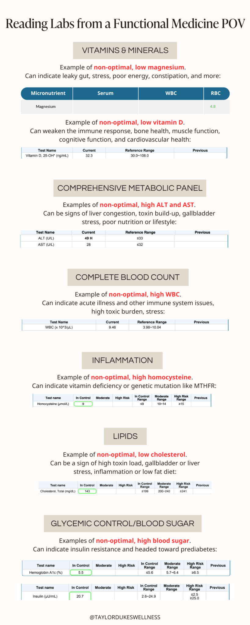 The Functional Medicine Lab Tests You Need to Know About - Taylor Dukes ...