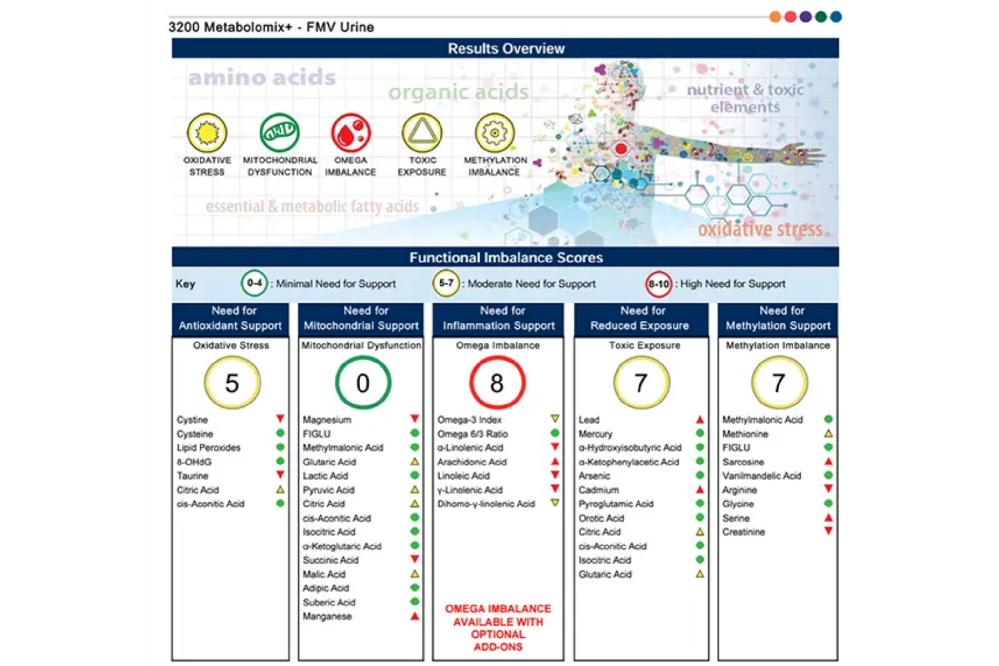 The Functional Medicine Lab Tests You Need to Know About - Taylor Dukes ...