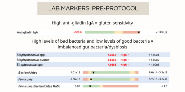 The Functional Medicine Lab Tests You Need to Know About - Taylor Dukes ...